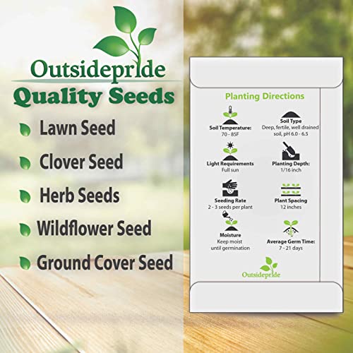 Outsidepride Dahlia Opera White Garden Cut Flower Seeds Great for Bouquets & Dried Floral Arrangements - 400 Seeds