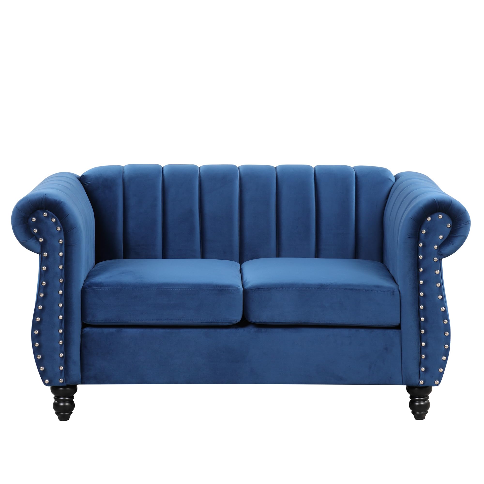 Tiokop Plush 51" Modern Style Dutch Fluff Double Seater Upholstered Sofa with Solid Wood Legs, Buttoned Tufted Backrest,Living Room Furniture for Apartment,Office and Lounge Area,Easy Assembly,Blue