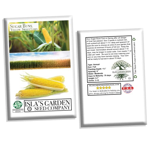 Sugar Buns Sweet Yellow Corn Seeds for Planting, 50+ Heirloom Seeds Per Packet, (Isla's Garden Seeds), Non GMO, 90% Germination Rates, Botanical Name: Zea mays, Great Home Garden Gift