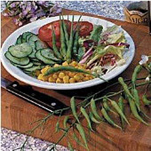 Rat Tail Radishes Seeds (25+ Seeds) (More Heirloom, Non GMO, Vegetable, Fruit, Herb, Flower Garden Seeds (25+ Seeds) at Seed King Express)