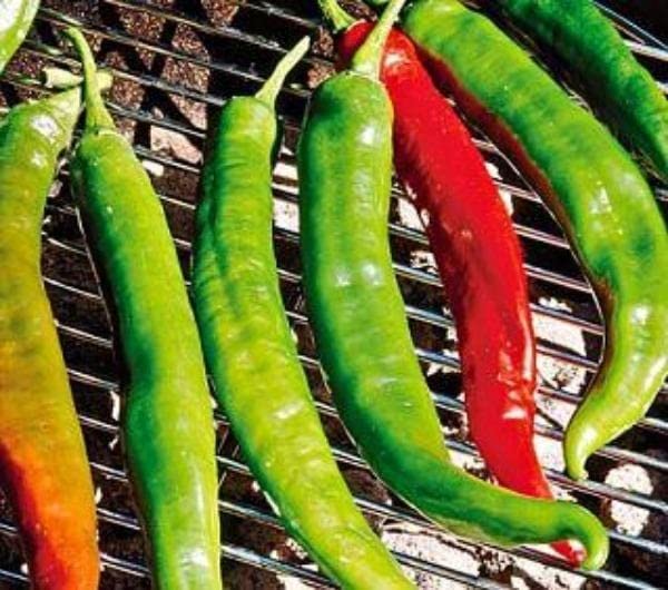 Pepper Joe’s Italian Roaster Pepper Seeds – Pack of 10+ Sweet and Mild Pepper Seeds – USA Grown – Premium Non-GMO Italian Pepper Seeds for Planting in Your Garden
