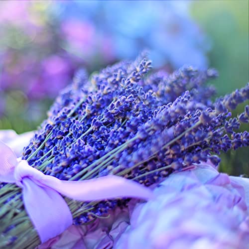 TKE Farms - English Lavender Seeds for Planting 1/4 Gram, 200 Seeds, Lavandula angustifolia