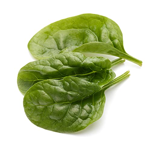 Giant Nobel Spinach Seeds - 1 Lb Seed Pouch - Heirloom, Non-GMO Gardening Seed - Slow Bolt Garden Spinach - Microgreens Seed