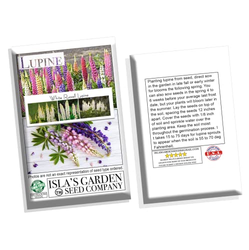 White Russell Lupine Seeds for Planting, 100+ Flower Seeds Per Packet, (Isla's Garden Seeds), Non GMO & Heirloom Seeds, Botanical Name: Lupinus polyphyllus, Great Home Flower Garden Gift