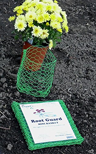 RootGuardTM The Original Heavy Duty Gopher Wire Baskets (24 Mini (Quart Size) Baskets)