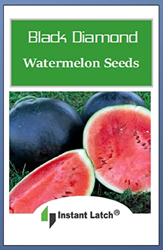 25 Black Diamond Watermelon Seeds | Non-GMO | Heirloom | Instant Latch Garden Seeds