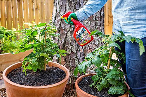 Sevin 100530114 GardenTech Insect Killer Ready to Use, 32oz, 32 Ounce RTU, Black