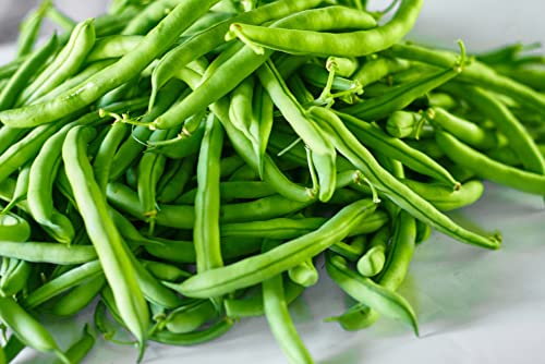 "Kentucky Blue" Pole Bean Seeds for Planting, 30+ Heirloom Seeds Per Packet, Non GMO Seeds, (Isla's Garden Seeds), Botanical Name: Phaseolus vulgaris, Great Home Garden Gift