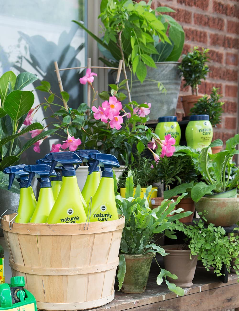 Miracle-Gro 0754210 RTU24 Nature's Care Garden Insect Control