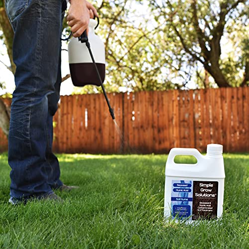 Organic Super Seaweed Humic Acid Blend- Liquid Sea Kelp for Grass and Plants - Soil Hume - Simple Grow Solutions- Natural Lawn & Garden Concentrated Treatment- Use with Fertilizer Program (32 Ounce)