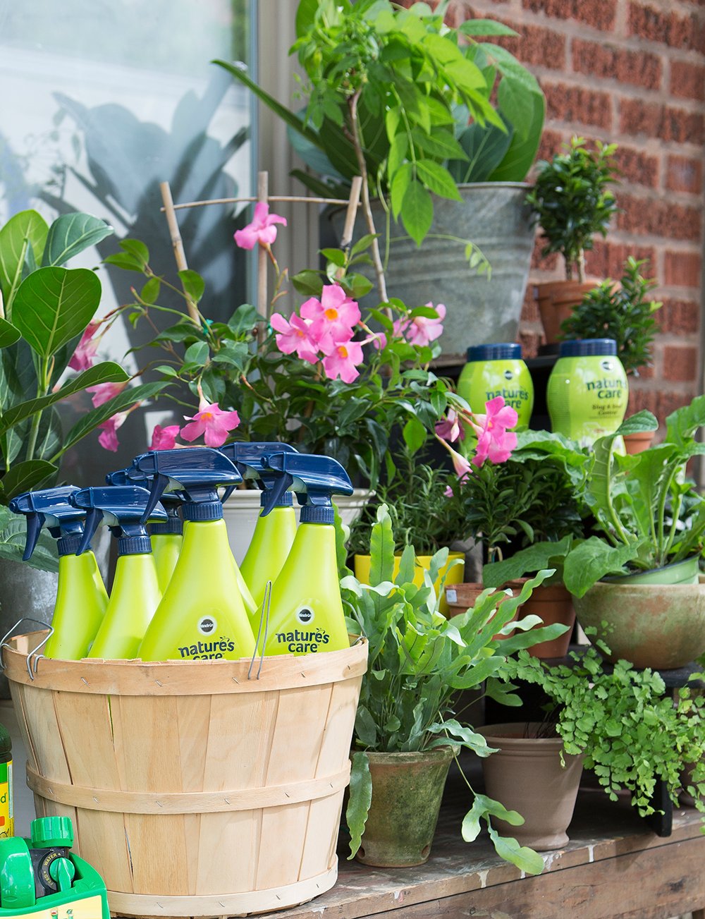 Miracle-Gro 0754210 RTU24 Nature's Care Garden Insect Control