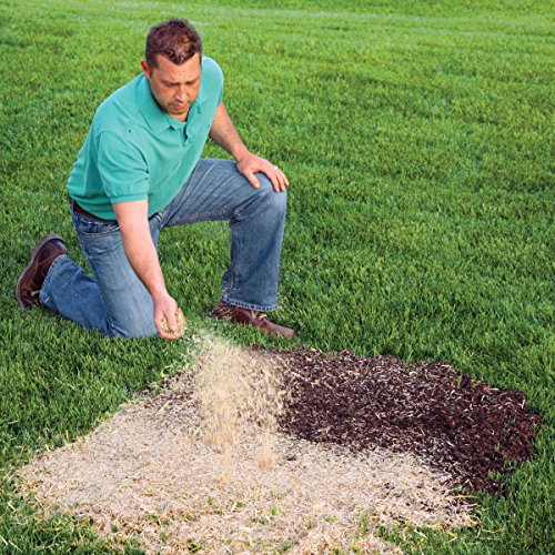 EZ Straw Seeding Mulch with Tack - Biodegradable Natural Processed Straw β 2.5 CU FT Bale (Covers up to 500 sq. ft.), Multi