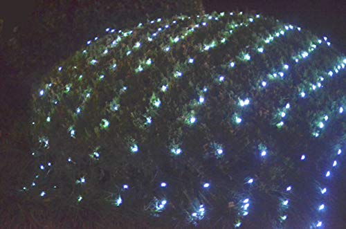 9.8Ft x 6.0Ft 320LED Connectable Mesh Net Fairy Garden Light Twinkle Waterproof Light String with 8 Modes Green Cable for Festoon Party/Garden/Christmas/Patio/Wedding (Cool White)