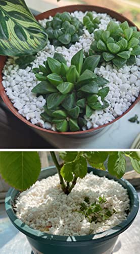 Organic Perlite Horticultural Soil Amendment for Plants and Enhanced Drainage Enhanced Growth (7 Quarts)