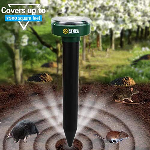 Senca 2-in-1 LED Solar Light Powered Sonic Mole Repellent: Ultrasonic Pest Repeller, Repel Mole, Gopher, Snake, Vole, Mouse for Outdoor Lawn Garden Yards Pest Control Rodent Repellent, Waterproof (6)