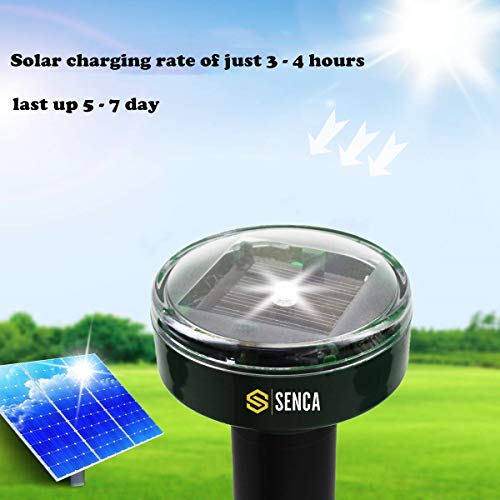 Senca 2-in-1 LED Solar Light Powered Sonic Mole Repellent: Ultrasonic Pest Repeller, Repel Mole, Gopher, Snake, Vole, Mouse for Outdoor Lawn Garden Yards Pest Control Rodent Repellent, Waterproof (6)
