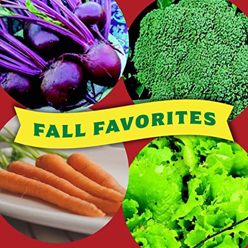 Seeds N Such 2300 Hand Selected Comfort Food Vegetable Garden Seeds | 5 Individually Packaged Seeds - Red Beets, Carrots, Broccoli, Cauliflower & Black Seeded Simpson Lettuce | Untreated & Non-GMO