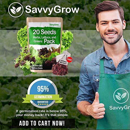 SavvyGrow Herb Lettuce Green Seeds Combo - 20 Variety 4000+ Heirloom Garden Seeds for Planting - 95% Plus Germination Rate, Non-GMO & Source in USA Vegetable Seeds