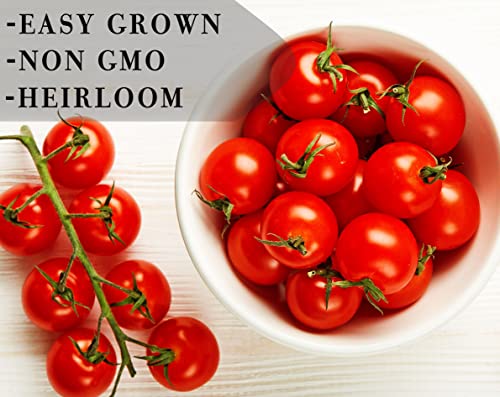 Tomatoes Gift Box Kit for Planting 1 Variety Pack 3g Red Cherry Tomato Seeds for Your Vegetable Garden (Tomato, Red Cherry)