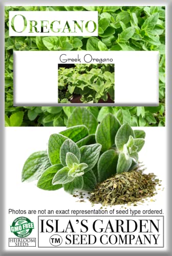 Greek Oregano Herb Seeds for Planting, 2500+ Seeds Per Packet, (Isla's Garden Seeds), Non GMO & Heirloom Seeds, Botanical Name: Origanum vulgare, Great Herb Garden Gift