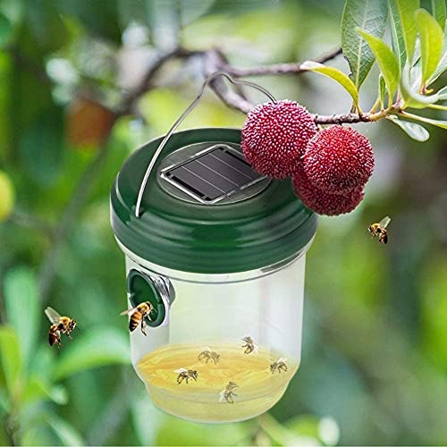 2 Pack Wasp Traps Outdoor, Wasp Bee Catcher for Outside, Yellow Jacket Killer, Hornets Trap for Garden