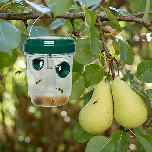 2 Pack Wasp Traps Outdoor, Wasp Bee Catcher for Outside, Yellow Jacket Killer, Hornets Trap for Garden