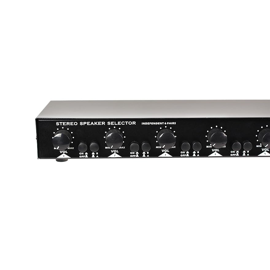 Skywalker Saga Elite™ 6-Zone Volume Control Dual-Source Stereo Speaker Selector