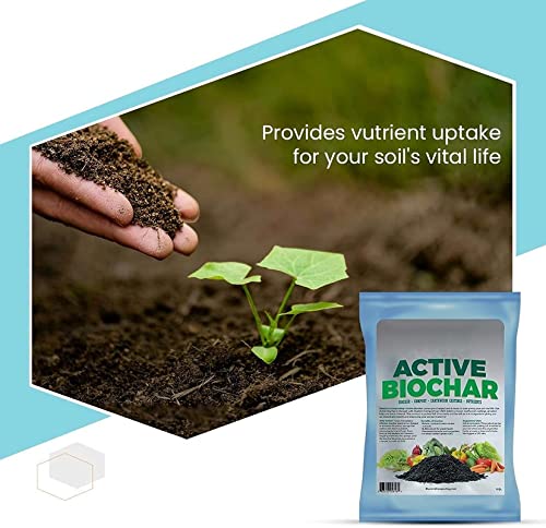 Bluebird Composting Active BIOCHAR 8 QTR Pack of 1 | Potting Soil Mix Indoor Outdoor for Garden and Plants (Pack of 1)
