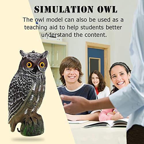 AMONIDA Prowler Owl Garden, Prowler Owl, Eye/Eye Not Backyards for Garden Yard(Ordinary Paragraph)