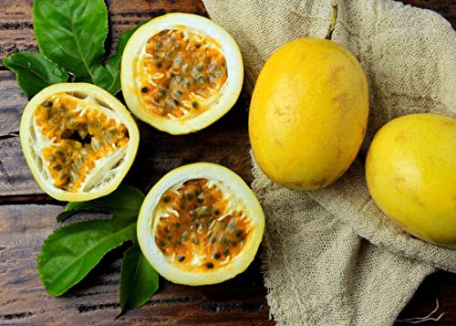 25 Yellow Passion Fruit Tree Seeds for Gardening Indoor, Ornaments Perennial Garden Simple to Grow Pot