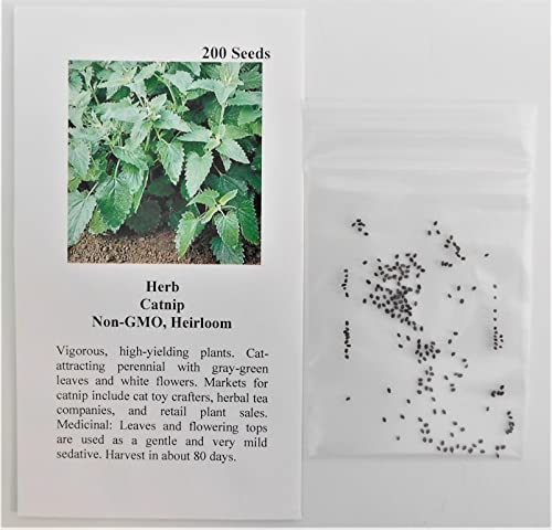 David's Garden Seeds Herb Catnip 9164 (Green) 200 Non-GMO, Heirloom Seeds