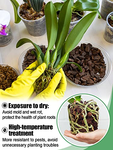 5 Quarts Orchid Potting Bark, Sun-Dried New Zealand Medium Organic Pine Wood Chip Barks for Orchids Mix Plant Compost, Natural Houseplant Mulch for Plant Root Development