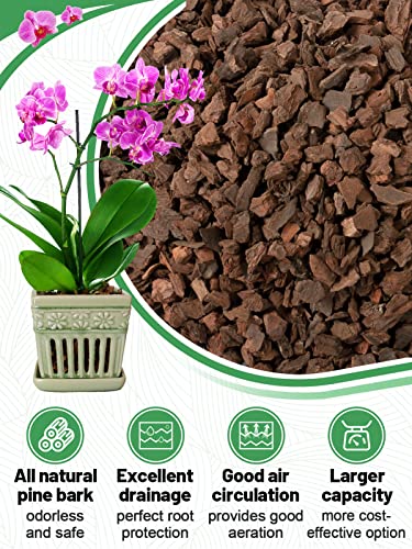 5 Quarts Orchid Potting Bark, Sun-Dried New Zealand Medium Organic Pine Wood Chip Barks for Orchids Mix Plant Compost, Natural Houseplant Mulch for Plant Root Development