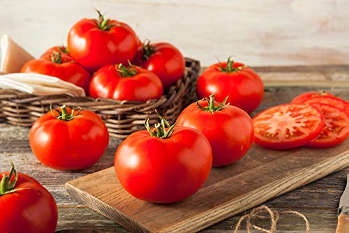 Moscow VR Tomato Seeds, 50 Heirloom Seeds Per Packet, (Isla's Garden Seeds), Non GMO Seeds, Botanical Name: Solanum lycopersicum, Great Home Garden Gift