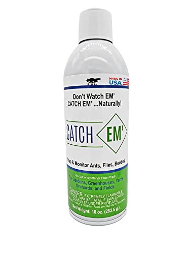 Bug Ball 2 Pack Deluxe kit - Odorless Eco-Friendly Biting Fly and Insect Killer with NO Pesticides or Electricity Needed, Kid and Pet Safe