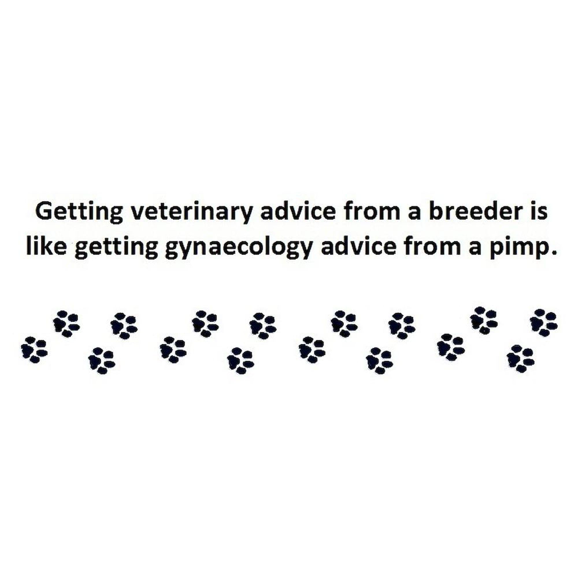 CafePress Getting Veterinary Advice Mug Ceramic Coffee Mug, Tea Cup 11 oz