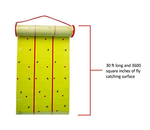 Giant Fly Glue Trap by Catchmaster - 3 Packs 30 Feet Each Pre-Baited, Ready to Use Indoors & Outdoors. Bug Insect Infestation Sticky Adhesive Scented Green Color Barn Paper Sheet Disposable Non-Toxic