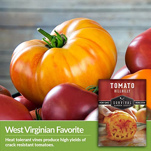 Survival Garden Seeds - Hillbilly Tomato Seed for Planting - Packet with Instructions to Plant and Grow Uniquely Colored Potato Leaf Tomatoes in Your Home Vegetable Garden - Non-GMO Heirloom Variety