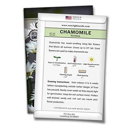 Sow Right Seeds - Chamomile Seed Collection for Planting - German and Roman Varieties - Non-GMO Heirloom Seeds - Instructions to Grow an Herbal Tea Garden - Wonderful Gardening Gift