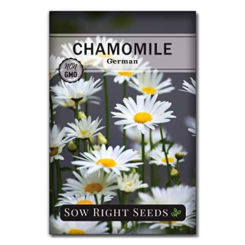 Sow Right Seeds - Chamomile Seed Collection for Planting - German and Roman Varieties - Non-GMO Heirloom Seeds - Instructions to Grow an Herbal Tea Garden - Wonderful Gardening Gift