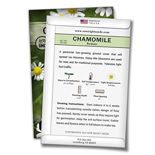 Sow Right Seeds - Chamomile Seed Collection for Planting - German and Roman Varieties - Non-GMO Heirloom Seeds - Instructions to Grow an Herbal Tea Garden - Wonderful Gardening Gift