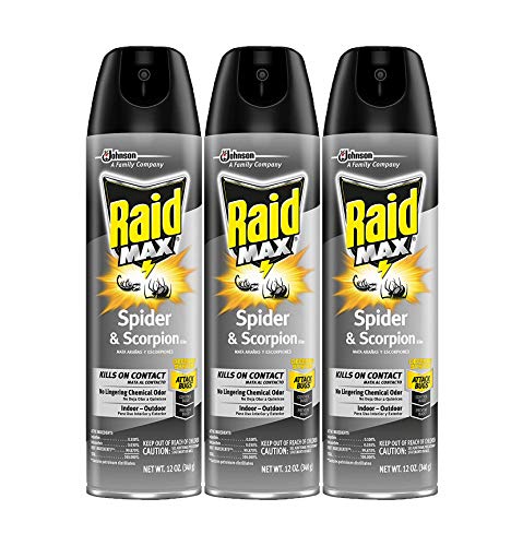 Raid Max Spider & Scorpion Killer (12 Ounce (Pack of 3))