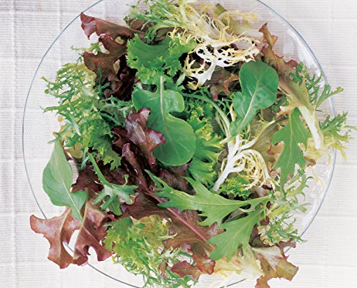 Burpee Spicy Mix Mesclun Seeds 1500 seeds