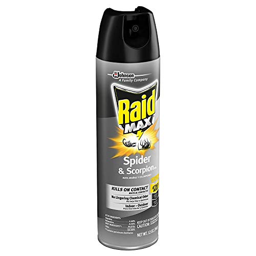 Raid Max Spider & Scorpion Killer (12 Ounce (Pack of 3))