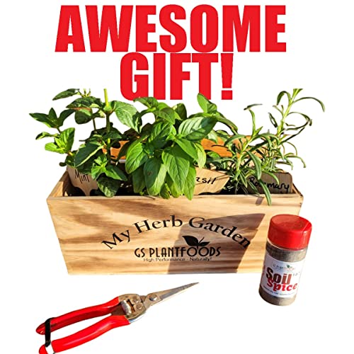 Herb Window Garden Gift Set- Complete windowsill herb Garden Growing kit Including Seeds, pots, Quality herb Clippers, Soil pods All in a Beautiful Planter Box. Hands on Gift Set.