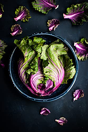 Halden Garden Lettuce Romaine Green Organic (Grows Well Everywhere)