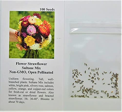 David's Garden Seeds Flower Strawflower Sultane Mix 1925 (Multi) 100 Non-GMO, HeirloomSeeds