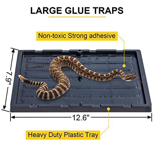 Jifeineng 2 PCS Extra Large Snake Mouse Super Glue Traps Heavy Duty Baited Extra Strength Rat Sticky for Indoor Home Garage Garden