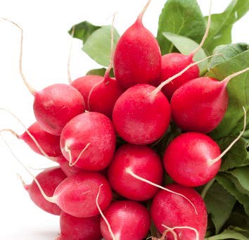 Cherry Belle Radish Seeds for Planting, 100+ Heirloom Seeds Per Packet, (Isla's Garden Seeds), Non GMO Seeds, Botanical Name: Raphanus sativus, Great Home Garden Gift
