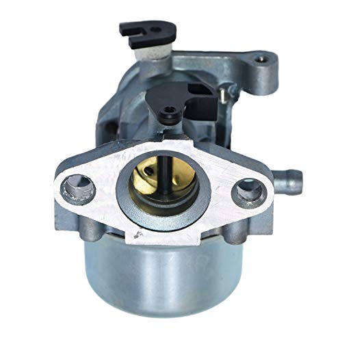 Carbman 799871 Carburetor Carb Replacement for Briggs and Stratton 790845 799866 796707 794304 for Lawn Boy Toro Craftsman Lawn Mower with Gaskets